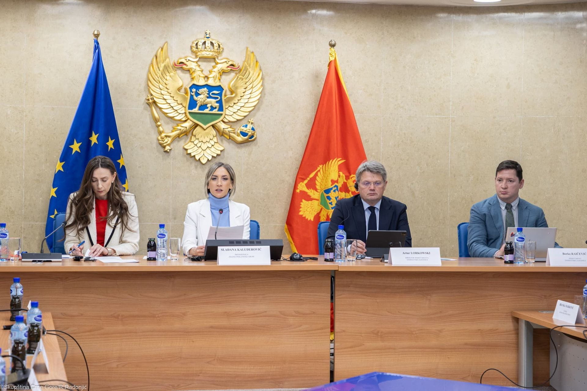 Montenegro is poised to deliver a green, EU-integrated energy future ...
